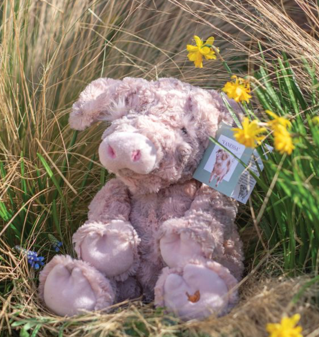 Wrendale 'Vanessa' Pig Plush – Zo&Co