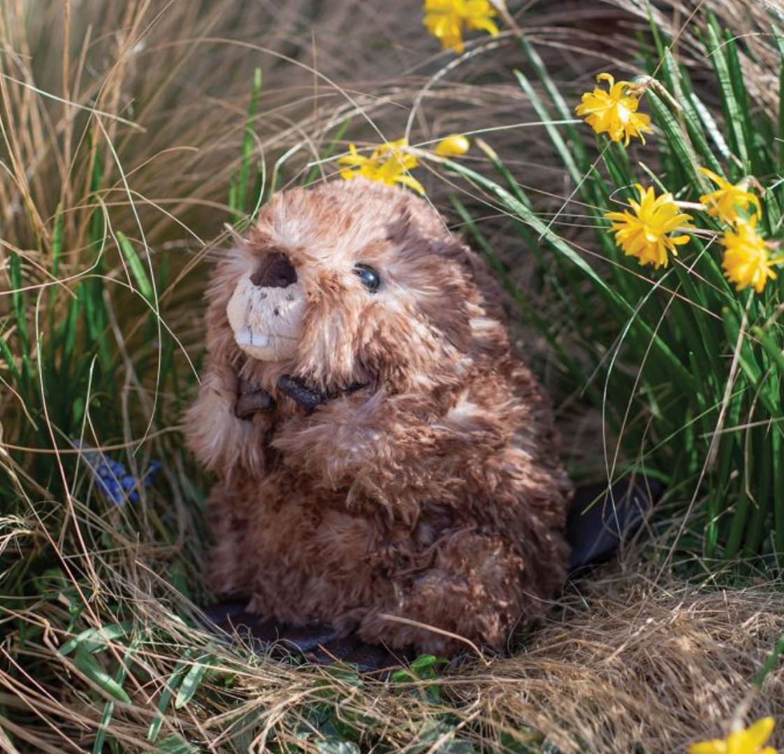 Wrendale 'Chester' Beaver Plush – Zo&Co